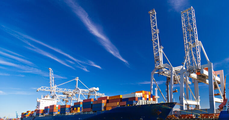 Trendwatch: Container ships see widespread delays at California’s main ...