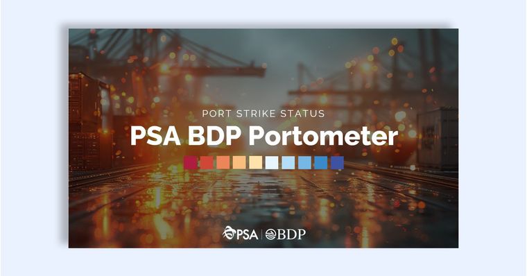 PSA BDP Portometer